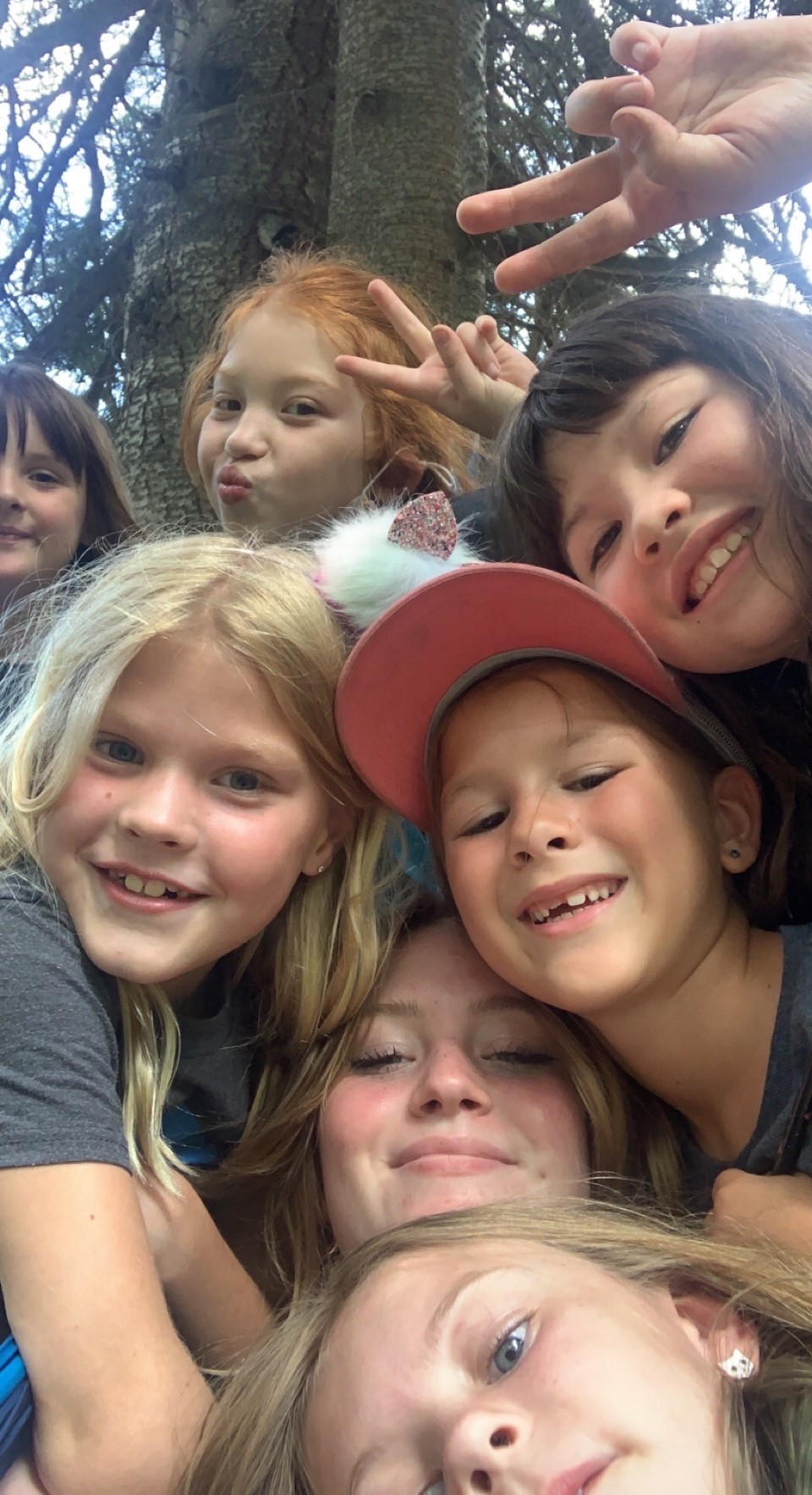 Summer Camp Resources Camp Wild Life